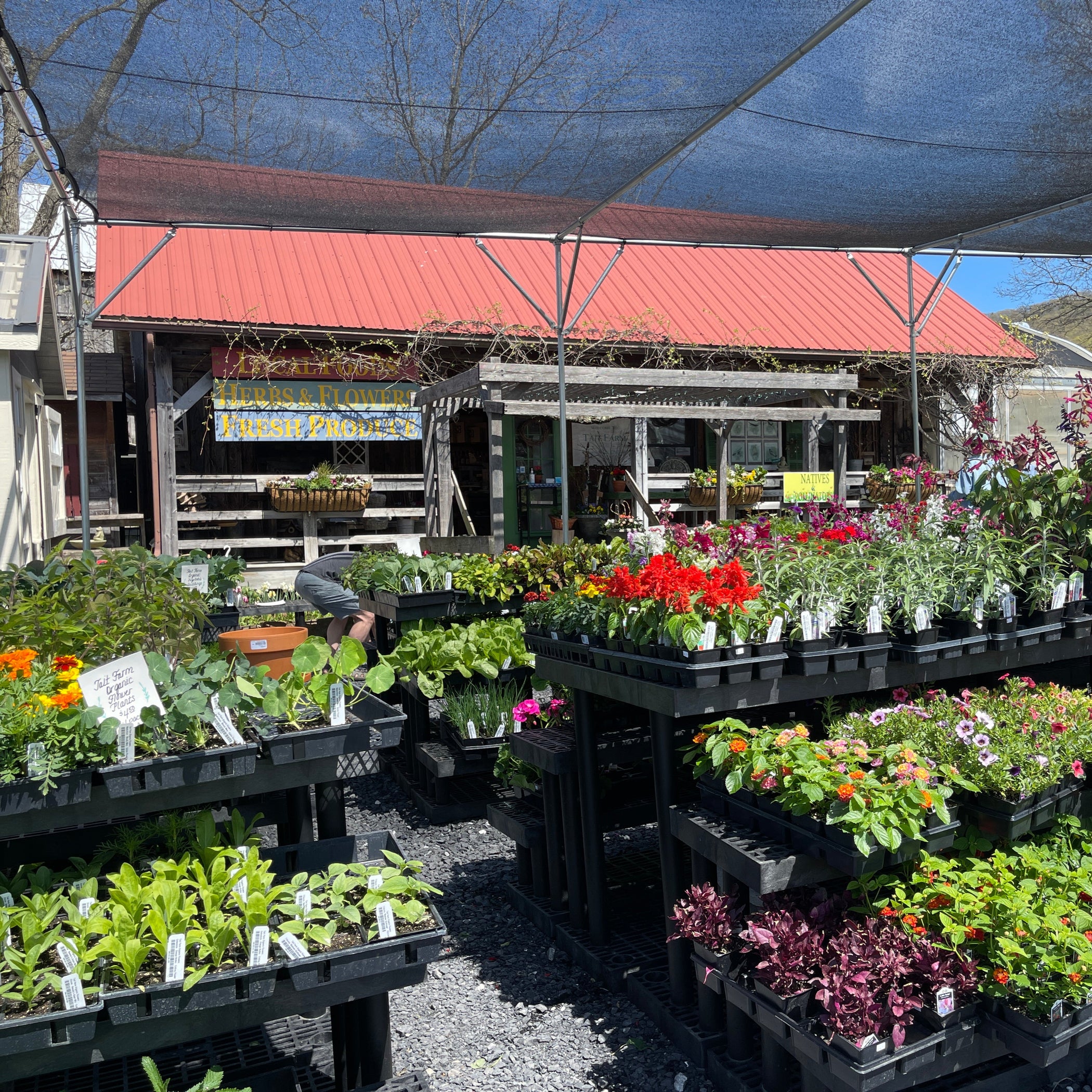 About Us – Tait Farm Foods