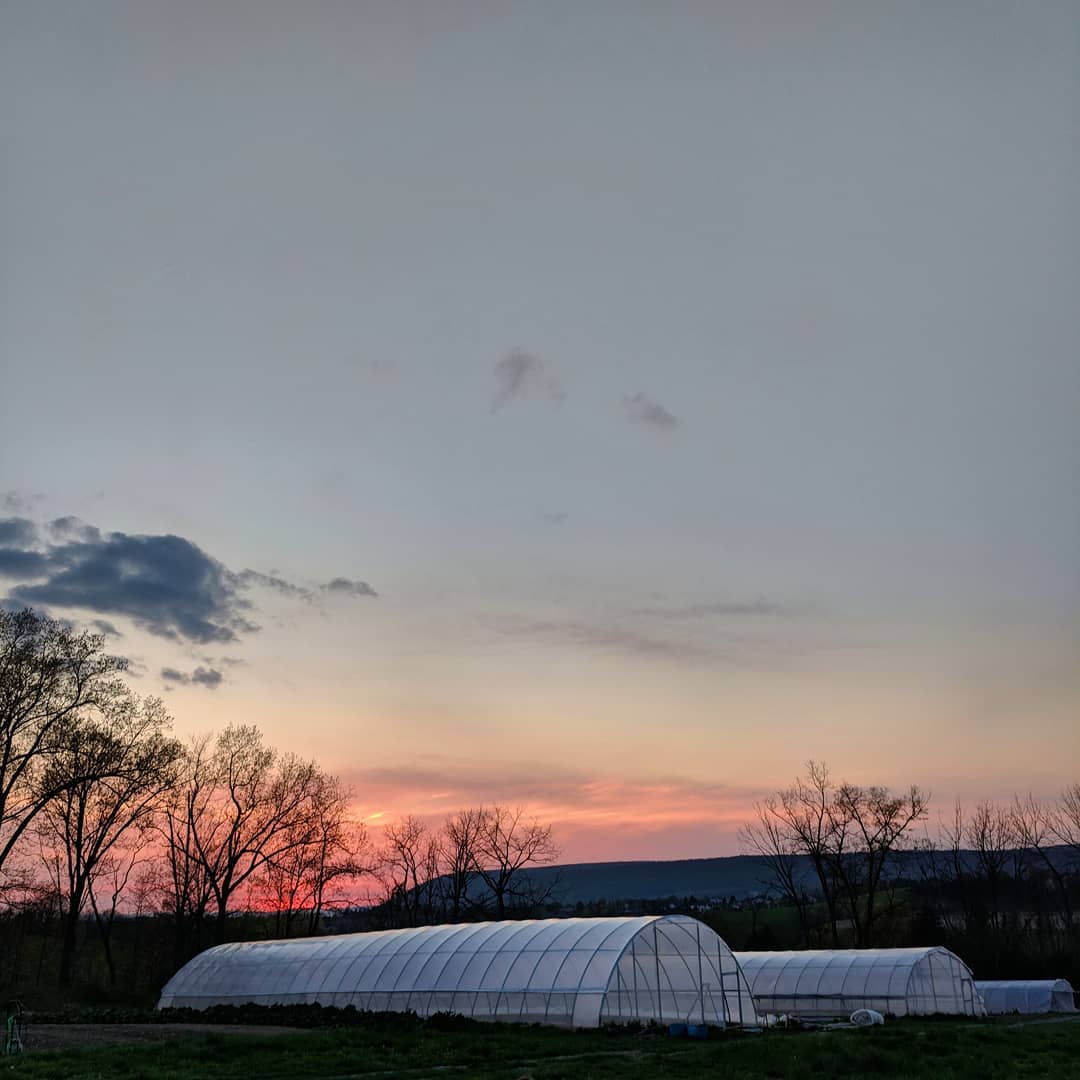 About Us – Tait Farm Foods
